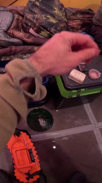 ЖИРНЫЙ ОКУНЯРИК