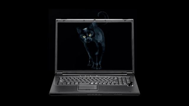 Стуча по клавиатуре. Звуки клавиш клавиатуры