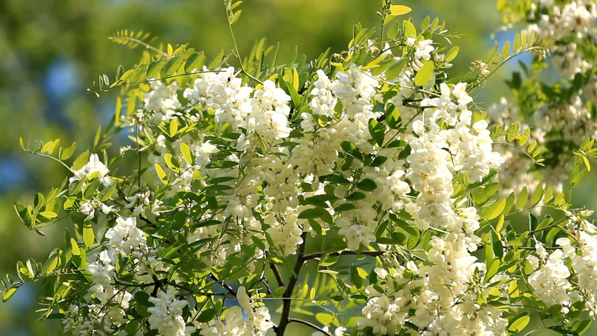 Ты со мной 🎧 МУЗЫКА 🎵. Текст 🎶 мой, исполнение сгенерировано нейросетью .