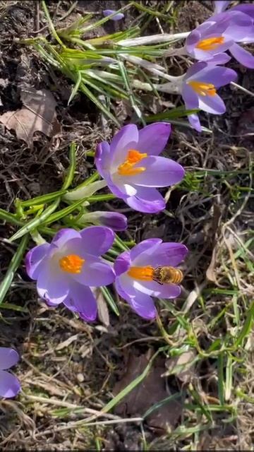 Привет из Германии