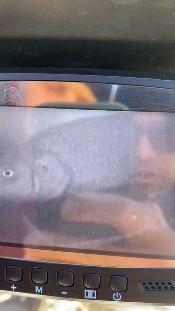 Это не линь, если что.  #рыбалка #подпишись #рыба #интересно #зимняярыбалка #природа