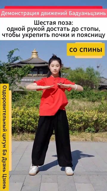 6 движение бадуаньцзинь