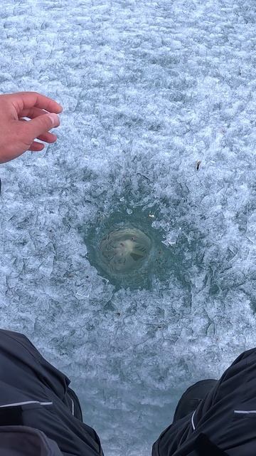 ещё лещик...