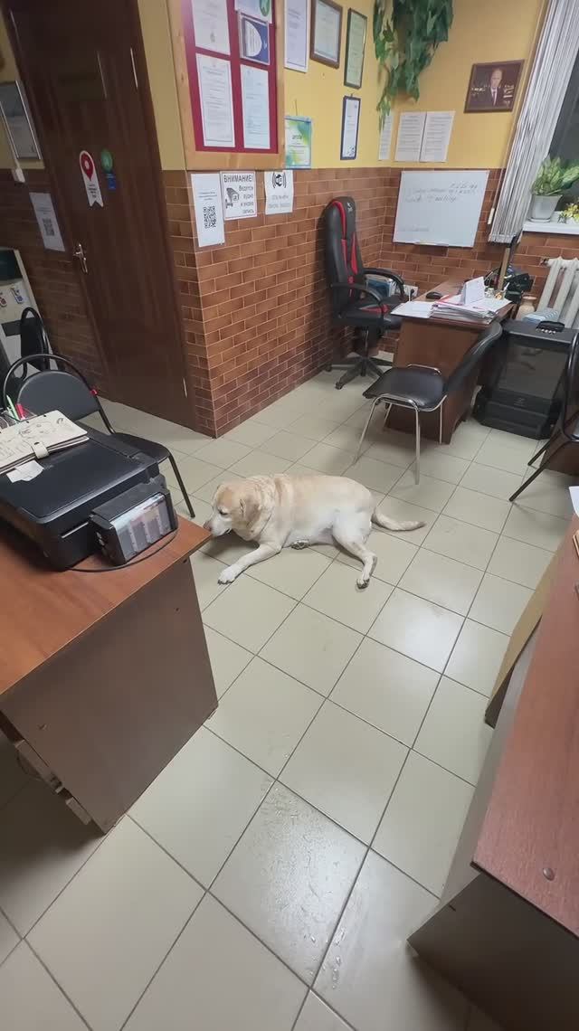 Дело есть Дело - anzl.ru