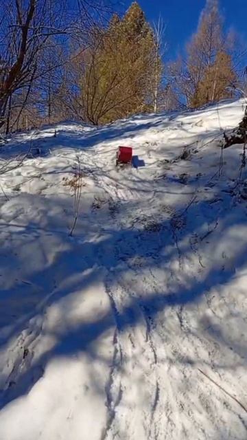 Абрамов Семён. Видео о проекте