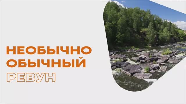 Необычно обычный Ревун