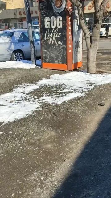 ❤️A💙R🧡M✝️E📖N✊I🗻A🇦🇲. #armenia #music #cavdtanem #steps #iarmen