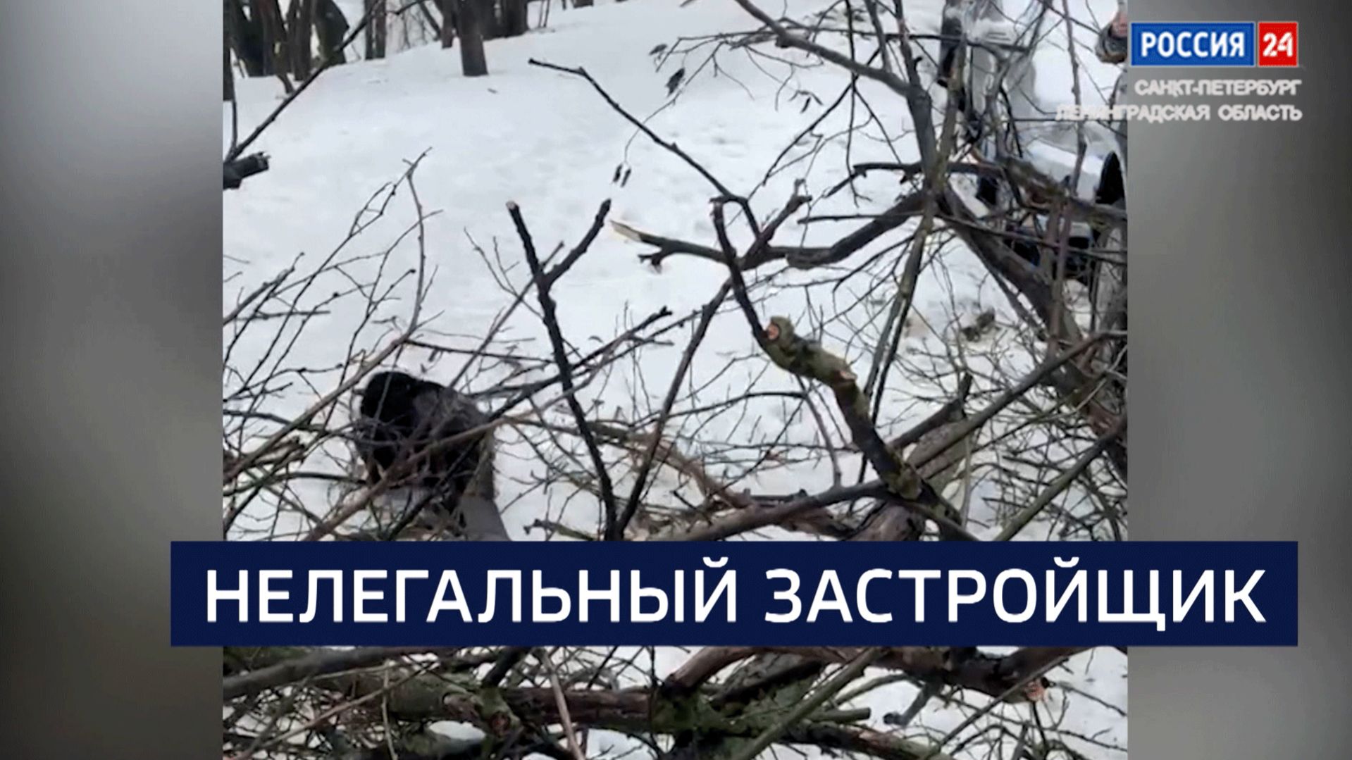 ВЕСТИ 24  Санкт-Петербург от 05.03.2026