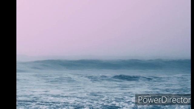 Макс Грачёв_В топку !!!