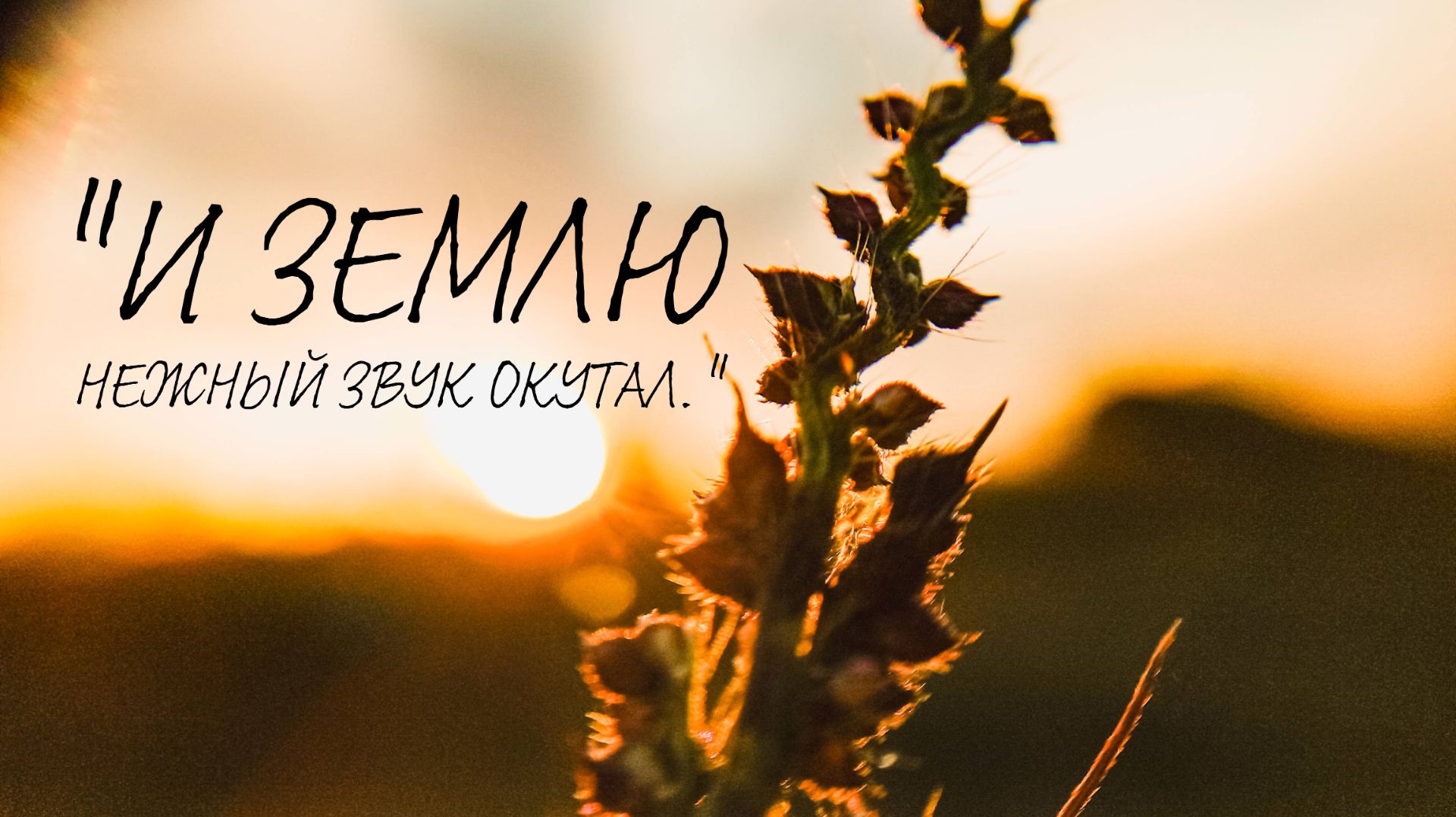 И землю нежный звук окутал... #стихи