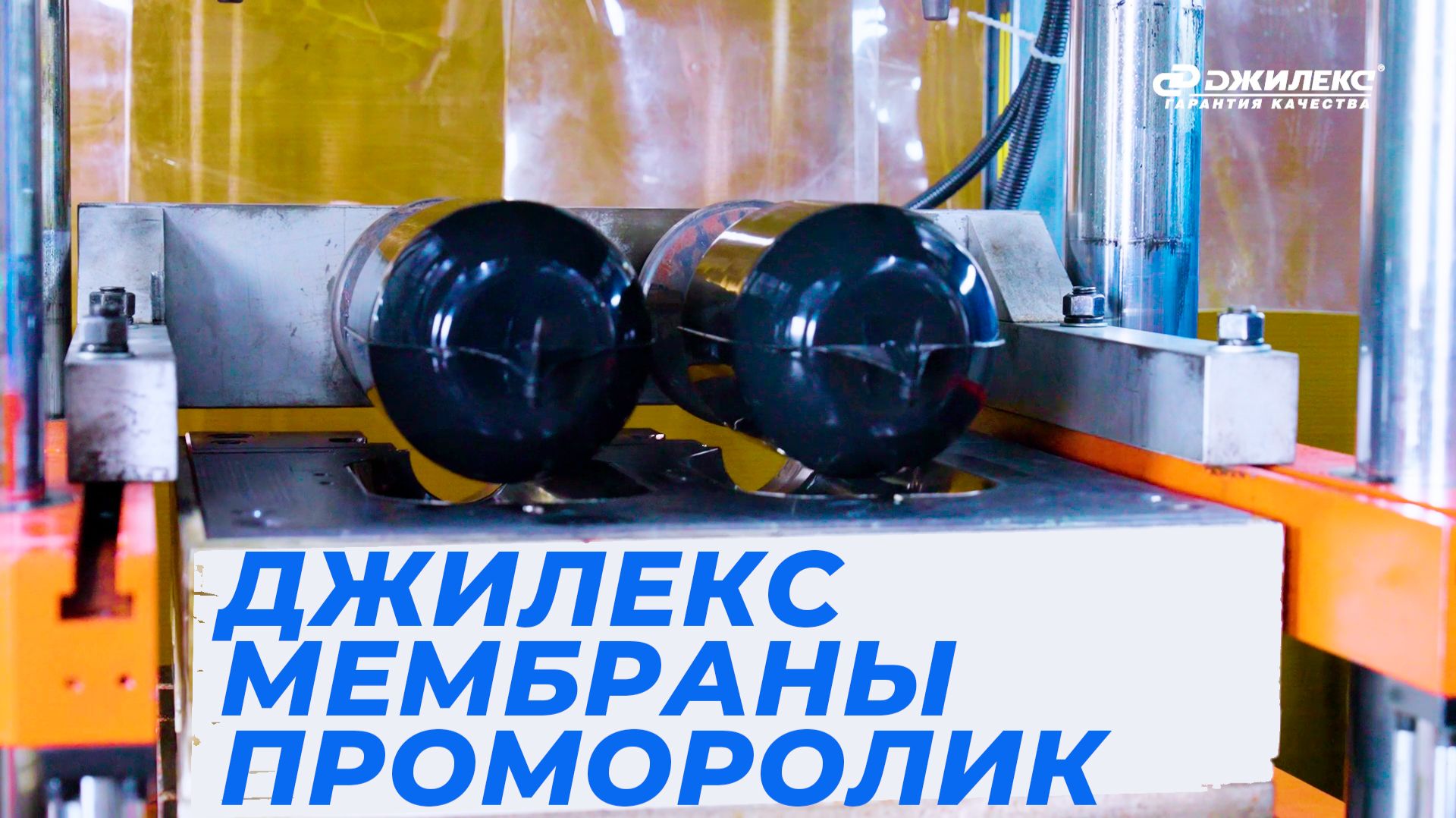 Jeelex мембраны проморолик