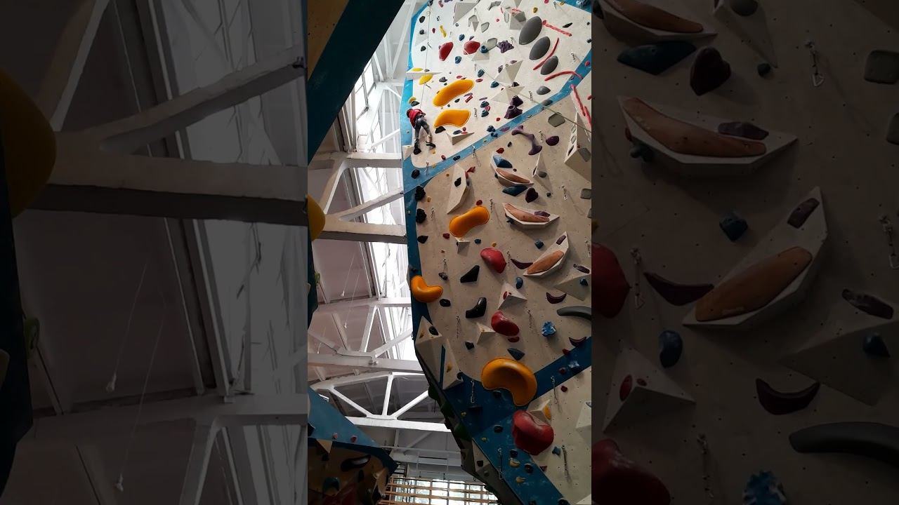 Скалолазка Shorts