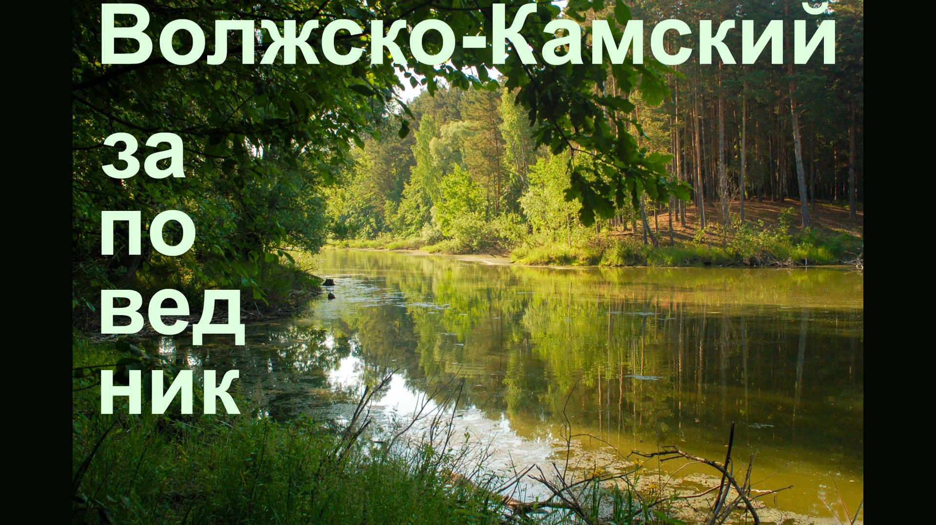 Волжско-Камский заповедник, 2026