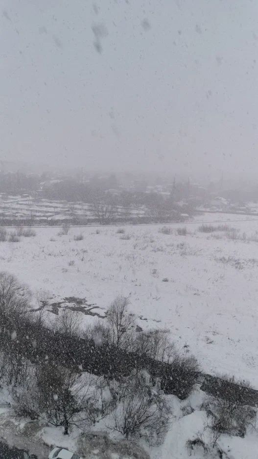Снова заметает, 5 марта, метет #снег #метель #заметает #русскаявесна #март #снегопад #веснавРоссии