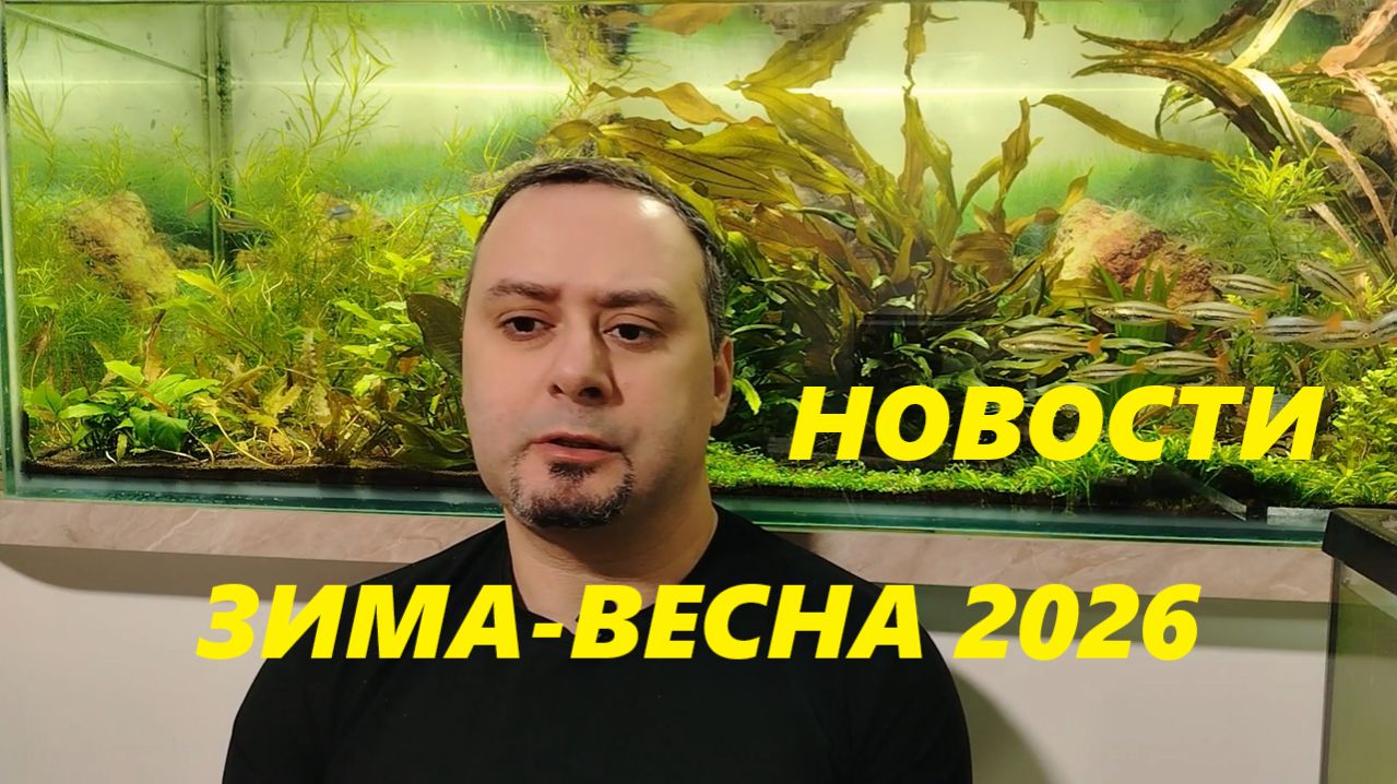 Новости. Зима-Весна 2026.