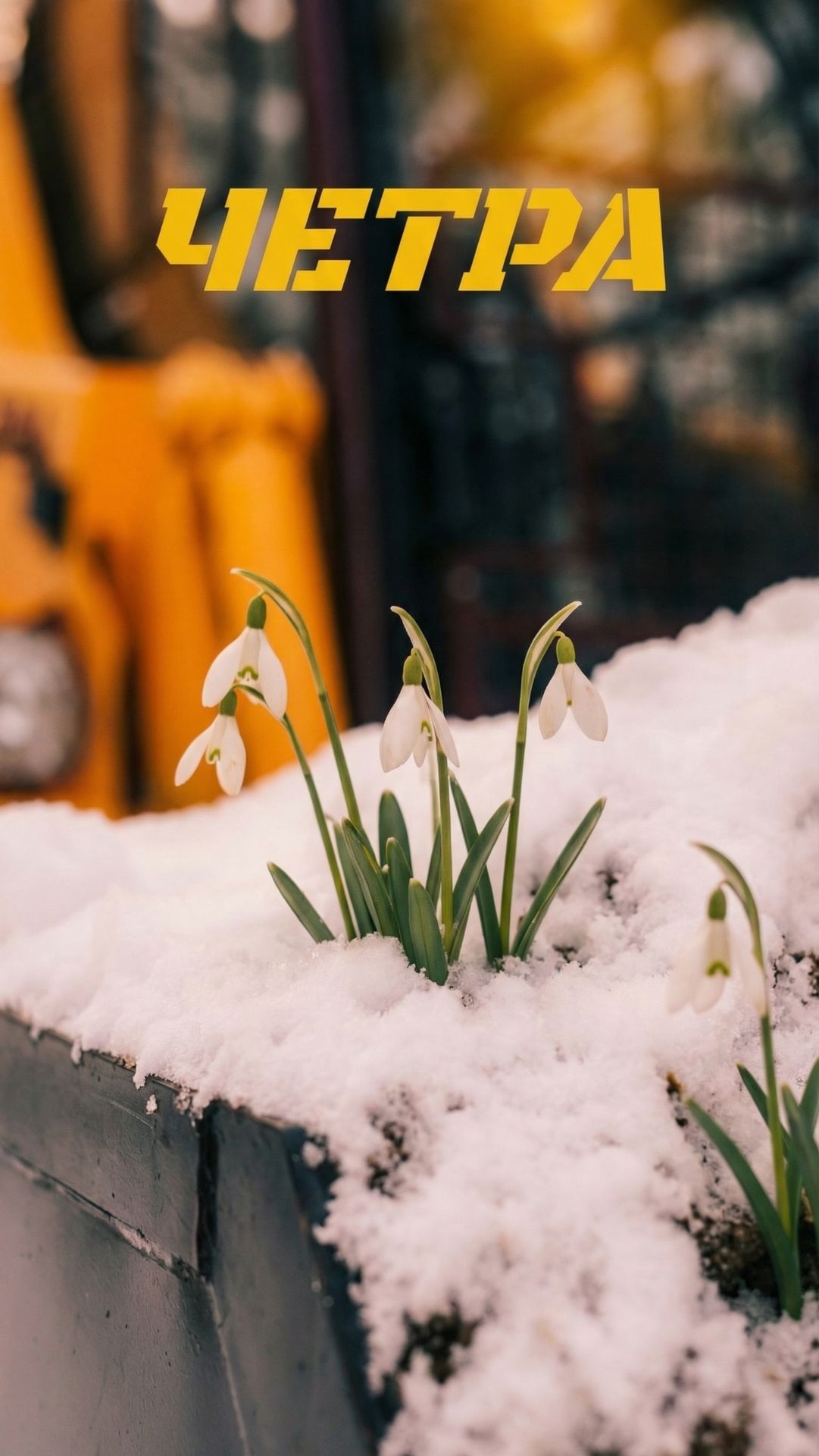 С 8 марта от ЧЕТРА