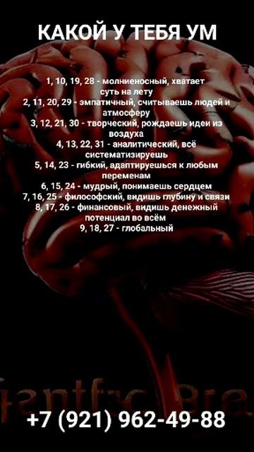 ТВОЙ УМ #онлайн #нумерология #shorts #светланаведа