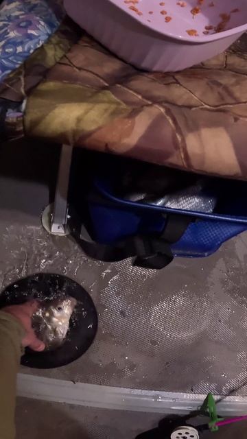 Выпрыгнул из лунки