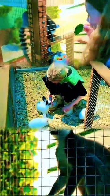 Лайк Крошки