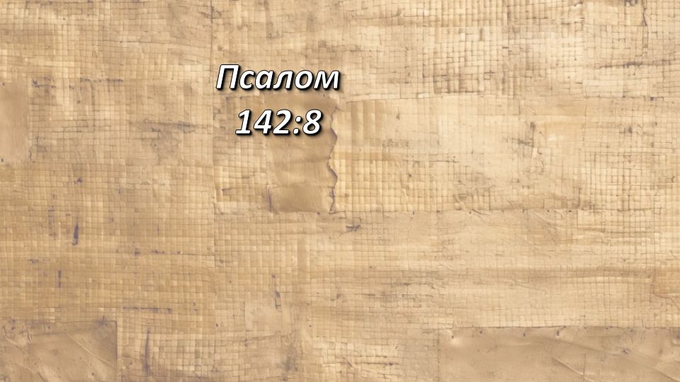 Стих дня. Псалом, 142;8.