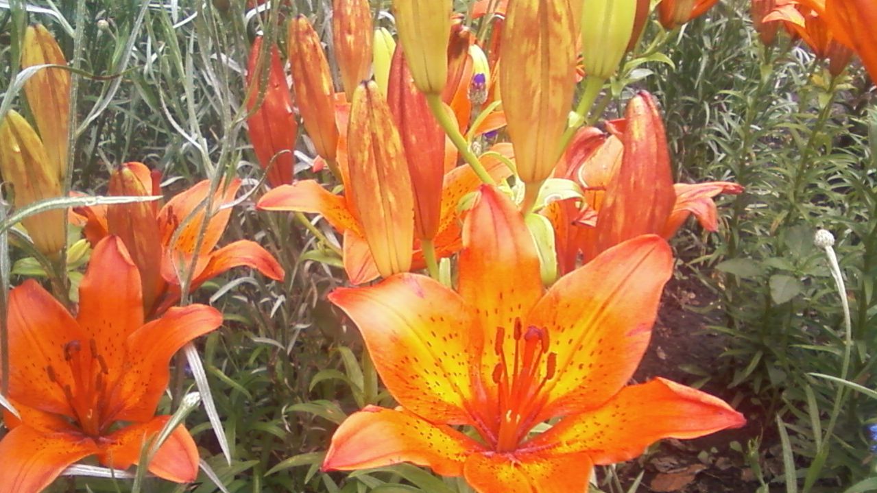 Движения плавные и гармоничные - создано на сайте ТвойХит.рф, стихи Е. Касаткина.