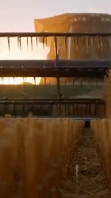 Все мы один братский народ