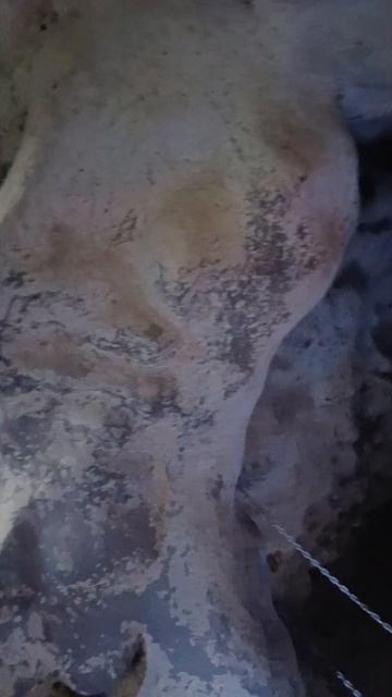 Если вы думаете, что Mini Siam — про копии… вы не видели Мини-Таиланд