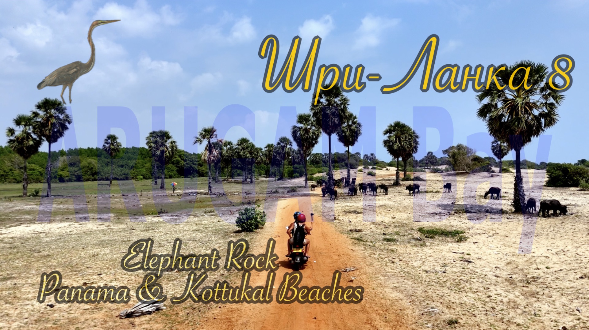 Шри-Ланка 🇱🇰 Sri Lanka. Elephant Rock 🐘 Panama & Cottukal beaches 🏖️