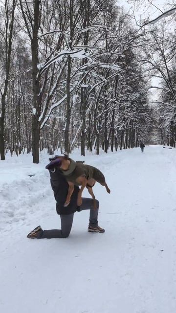 Риджбек Айна - вольт от колена