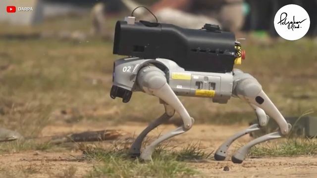 Восток - Холдинг разрабатывает системы на базе БПЛА, ИИ и робототехники. Если вы энтузиаст - пишите