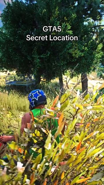 секретные локации в ГТА 5