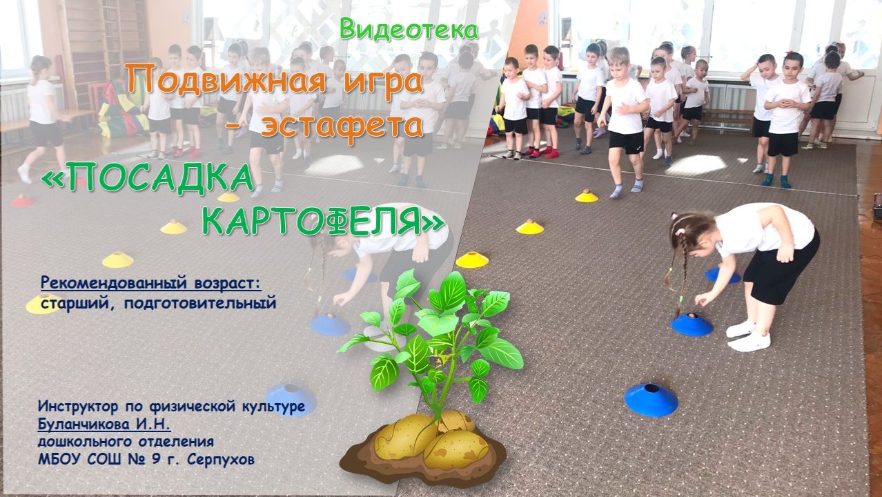 Подвижная игра - эстафета "Посадка картофеля"
