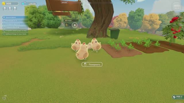 Farm to Table Demo (3) Куры что-то замышляют