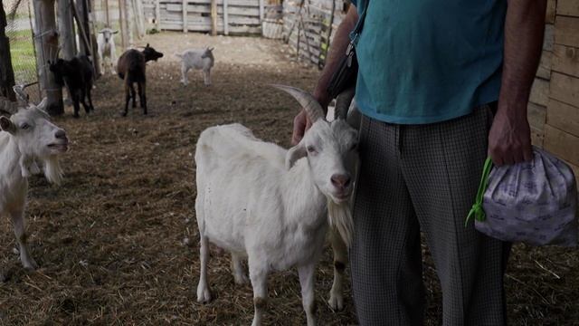 2. ESP_ALTAY_IN_FIVE_SENSES_MO