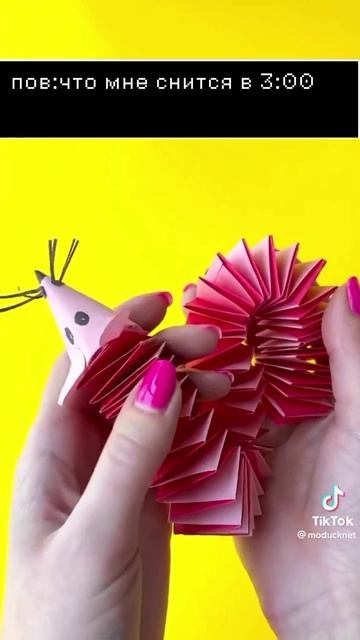 что мне снится