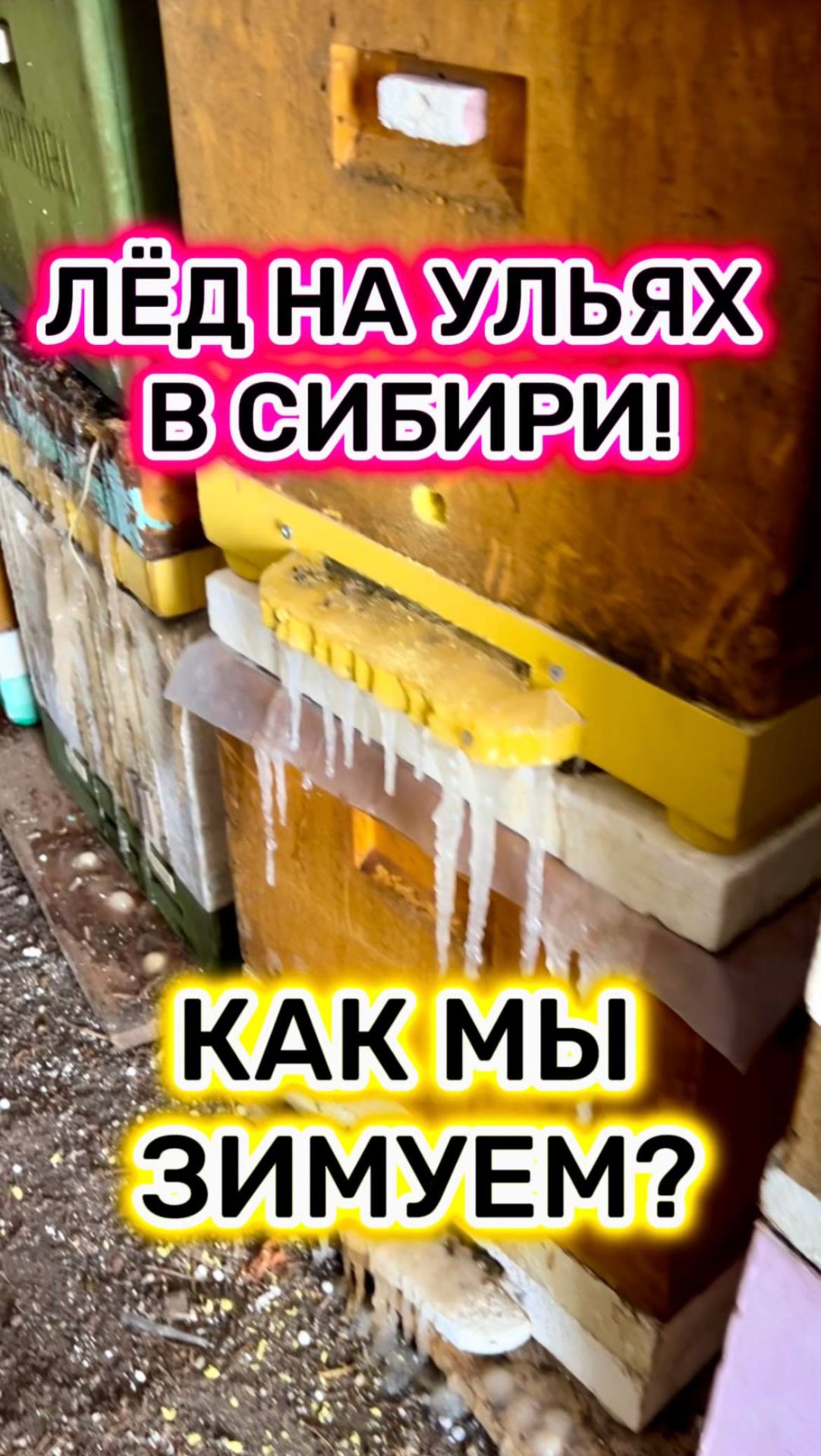 Лёд на ульях в Сибири! Как мы зимуем?