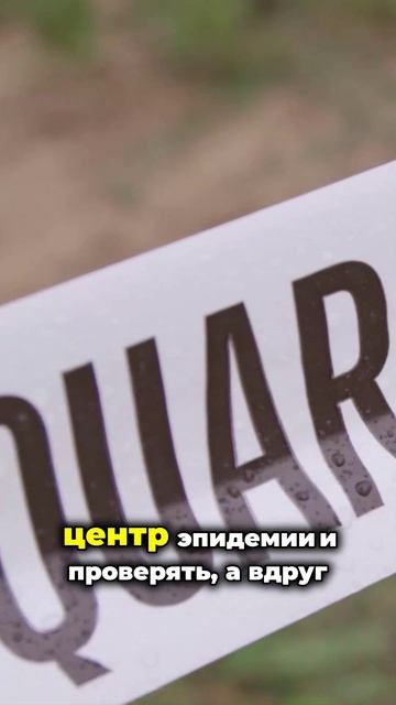 Бегите от нарцисса как от чумы!(1)