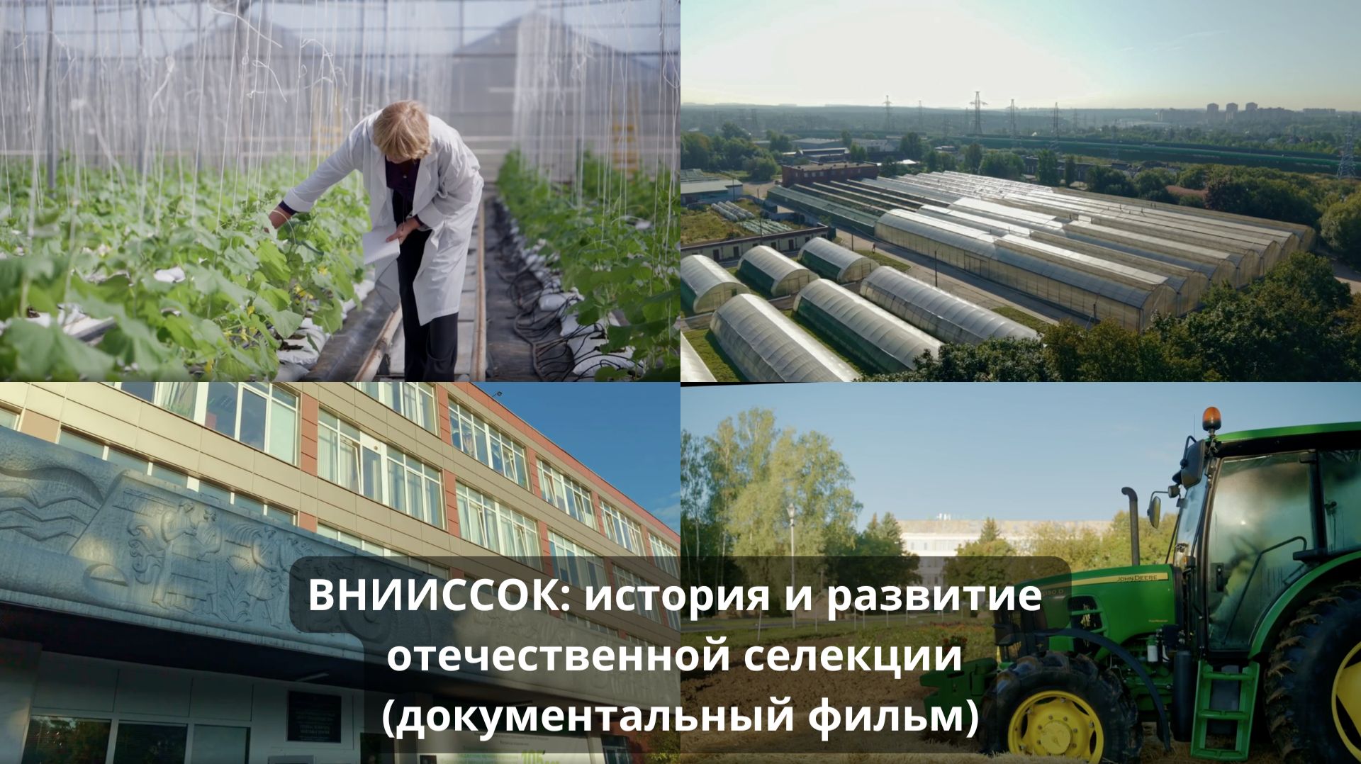 ВНИИССОК_ история и развитие отечественной селекции (документальный фильм)