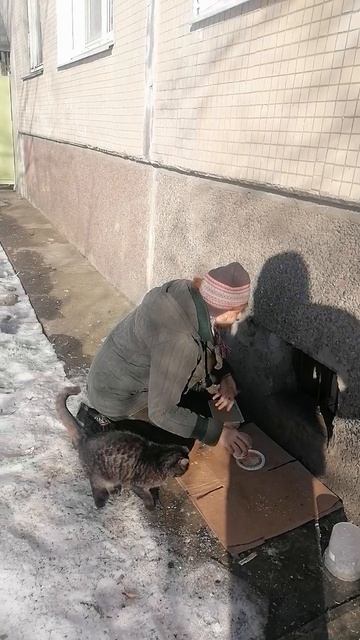 КОРМЛЕНИЕ КОШЕК_ЛЕН.ОБЛАСТЬ__2026 03 06