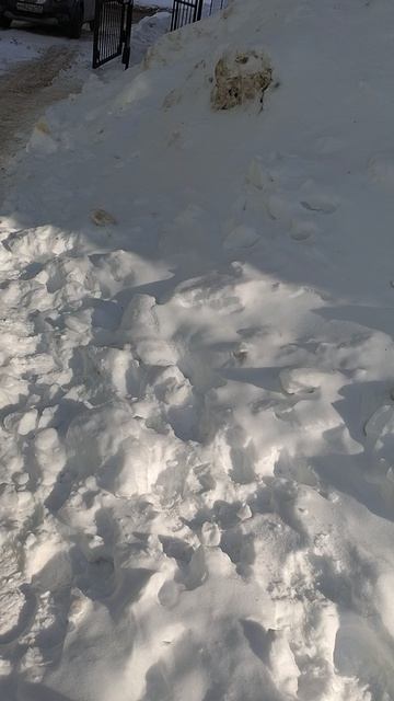 №1626 Двор П. Осипенко 48. 6 марта 2026 г., 14:17:43 VID_20260306_141623844