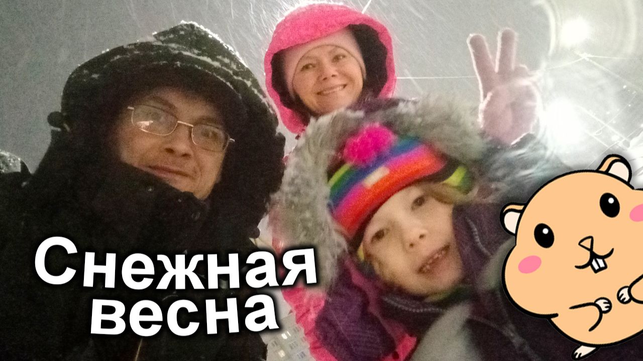 Вышли ночью встречать первый день снежной весны... Фикс Прайс. День Майи. Наш хомяк.