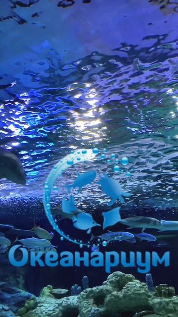 Океанариум в ТЦ РИО