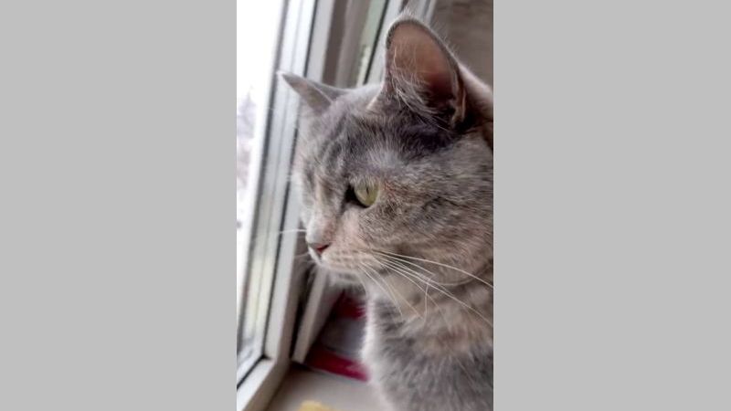 Зима прощается