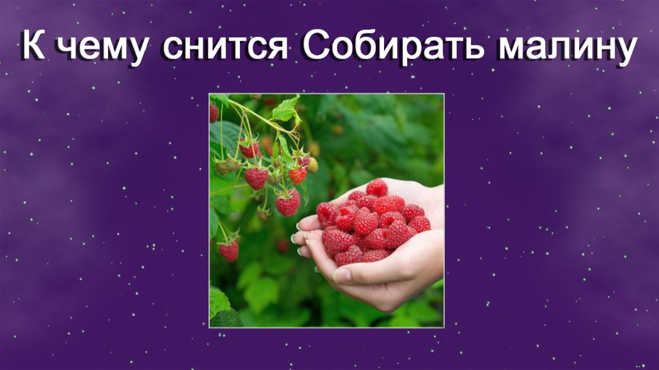 К чему снится Собирать малину - толкование сна
