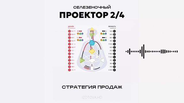 Спонтанный проектор 2/4 дизайн человека селезеночный авторитет