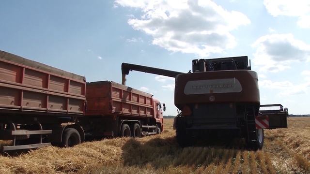 Новости области: свыше 20 тысяч гектаров земель региона вернутся в сельхозоборот. Панорама 06.03.26