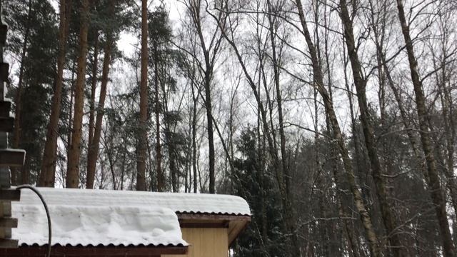 6 марта. Включите весну, пожалуйста!