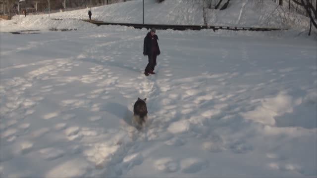 2024 Лета.16.03 1ч Левобережный. Вдоль Залива