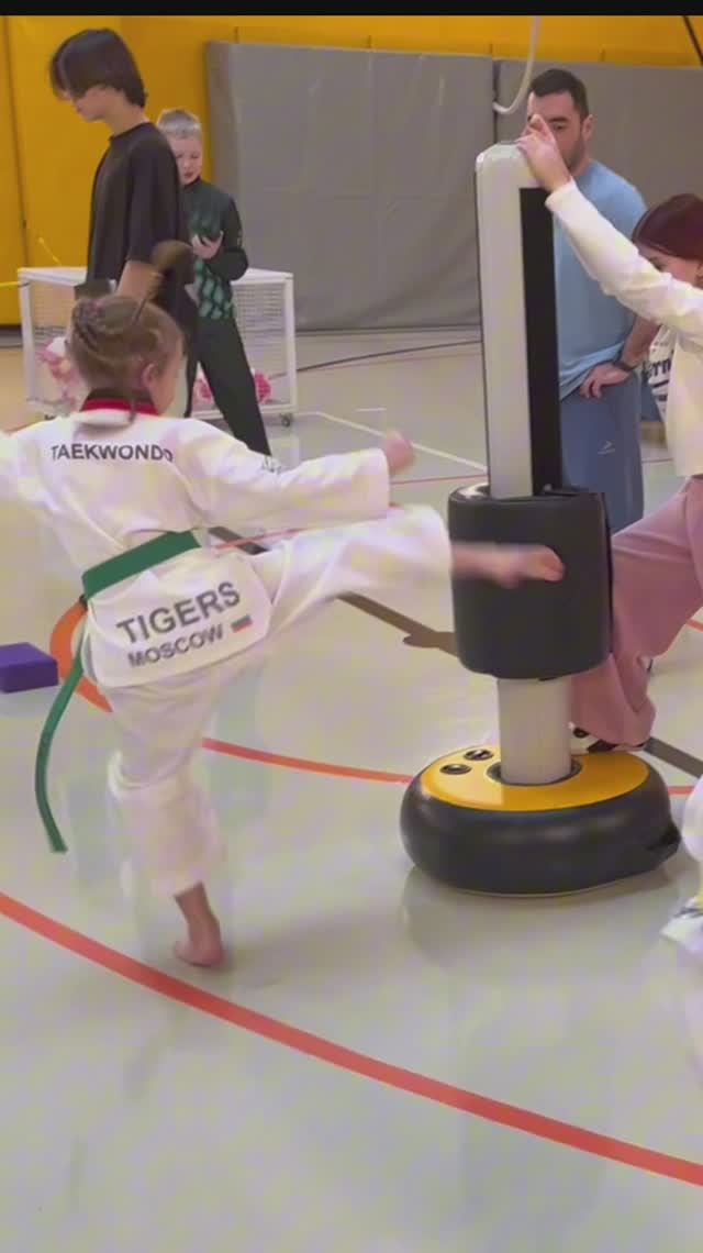 ZEMITA TAEKWONDO / ЗЕМИТА ТХЭКВОНДО ВТ / Zemita taekwondo