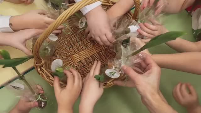 300 тюльпанов для любимых мам: подарок, который вырастили сами